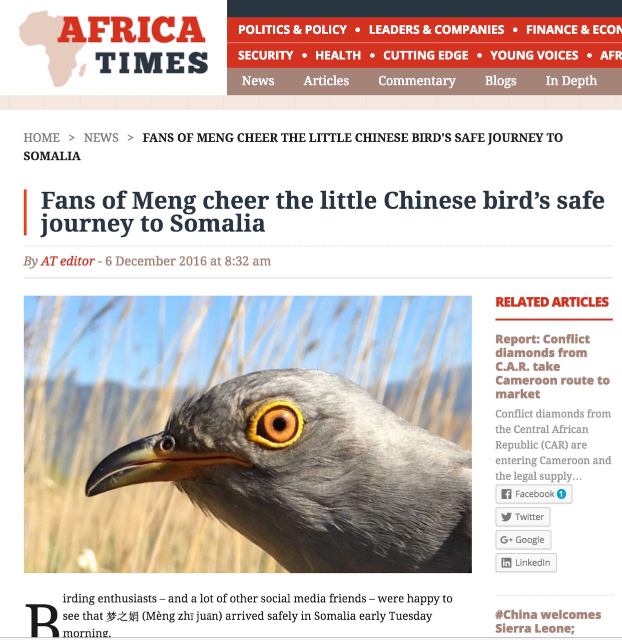 Latest Media Articles – Wild Beijing 北京自然