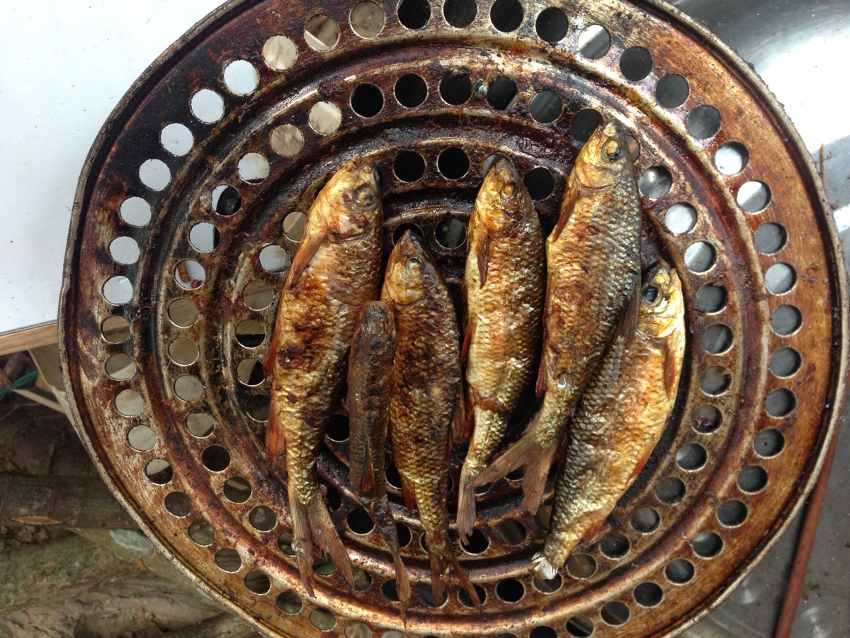 cooked fish – Wild Beijing 北京自然