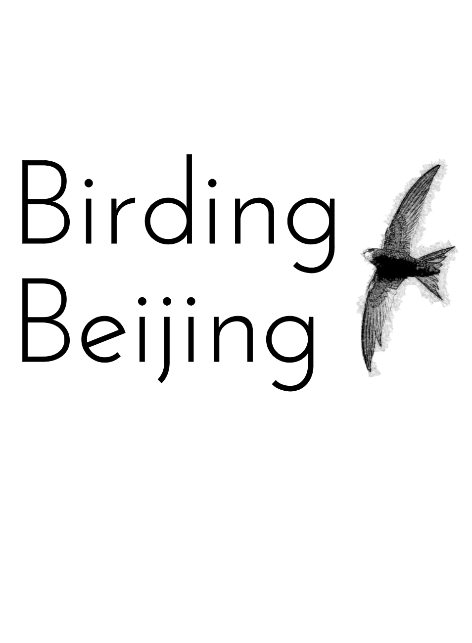 Birding Beijing logo 954 x 1300 – Wild Beijing 北京自然
