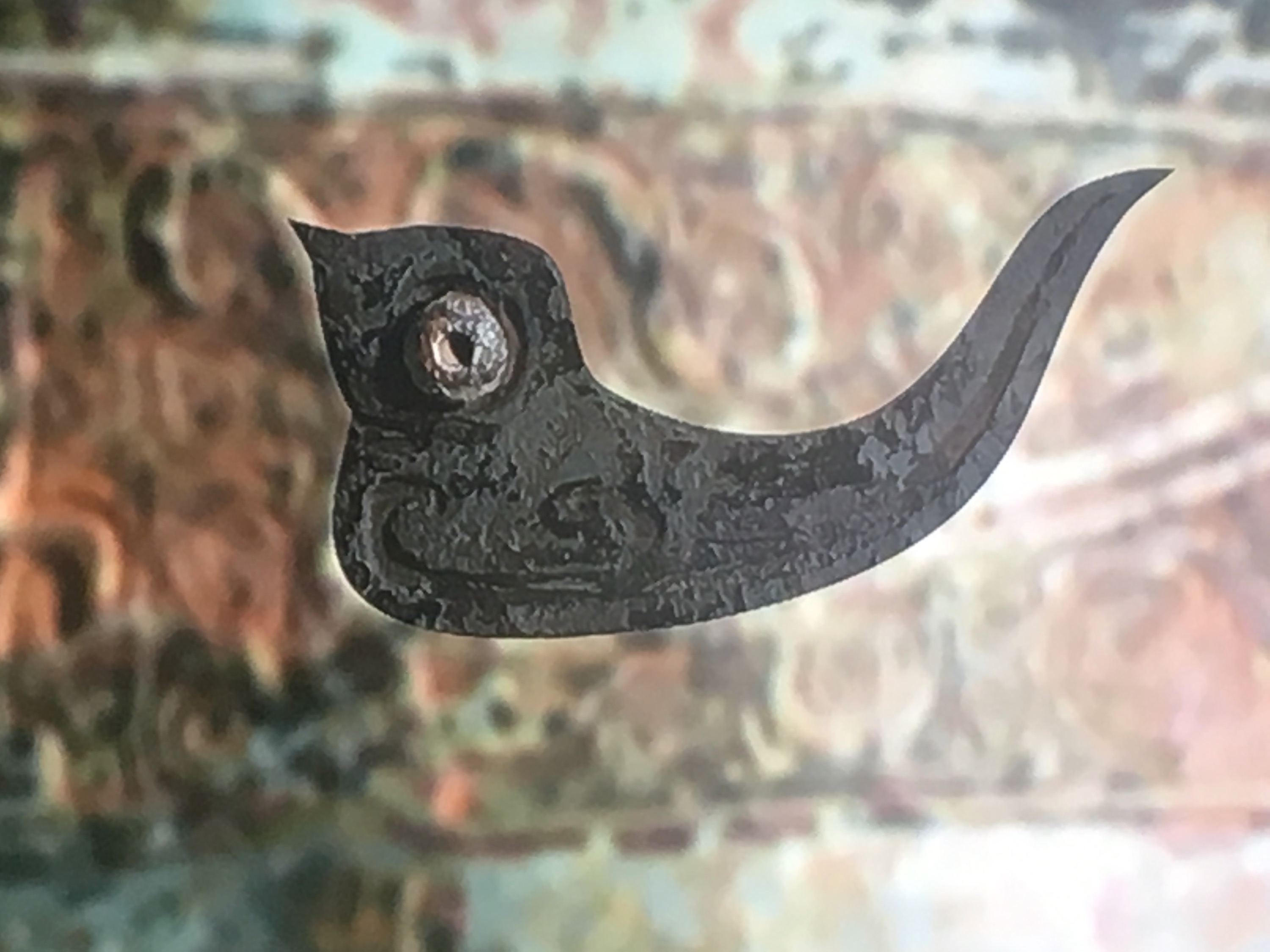 Beijing Swift 3,000 years old – Wild Beijing 北京自然