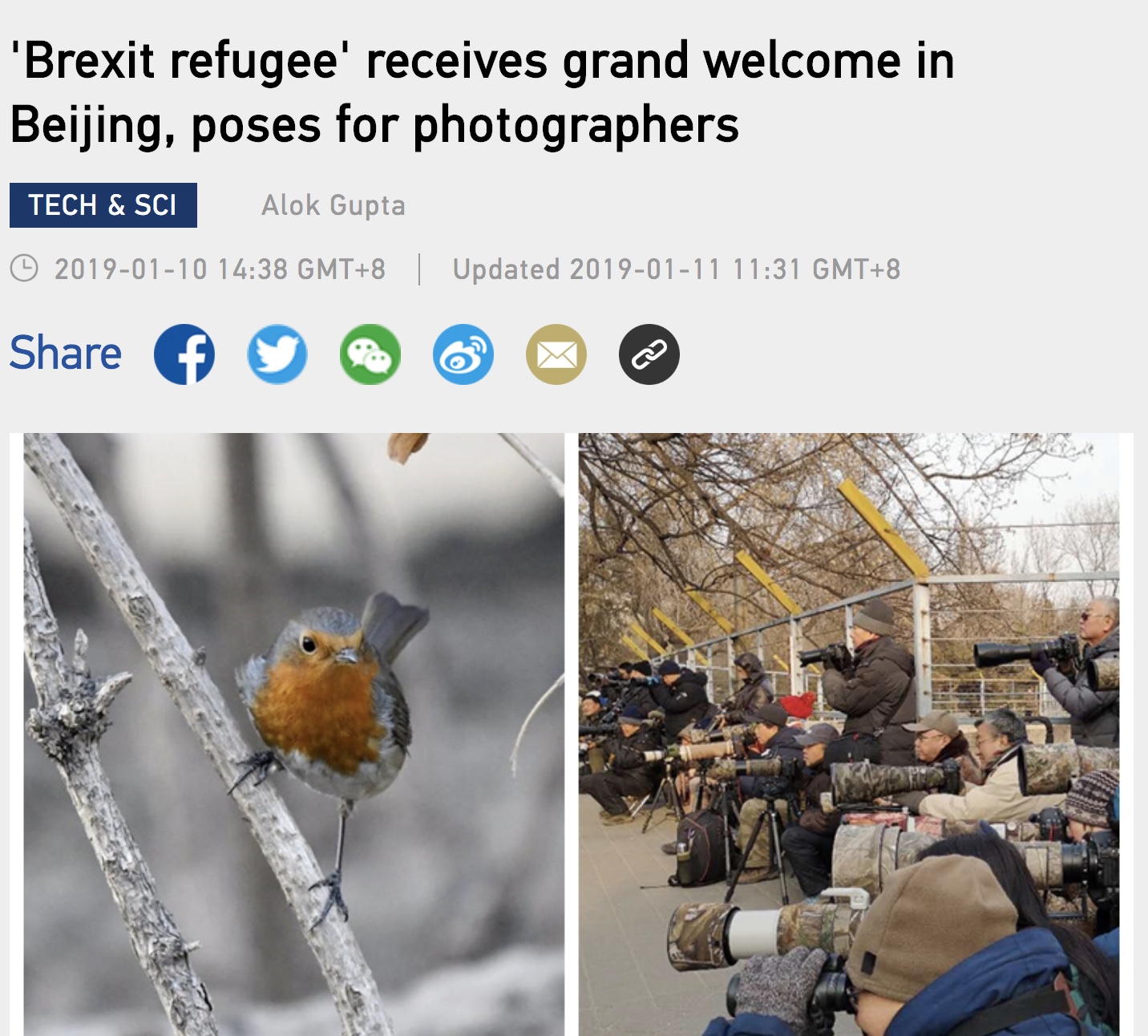 Latest Media Articles – Wild Beijing 北京自然